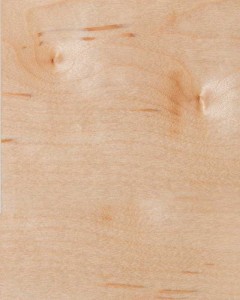 Wood Species – Tedd Wood, LLC